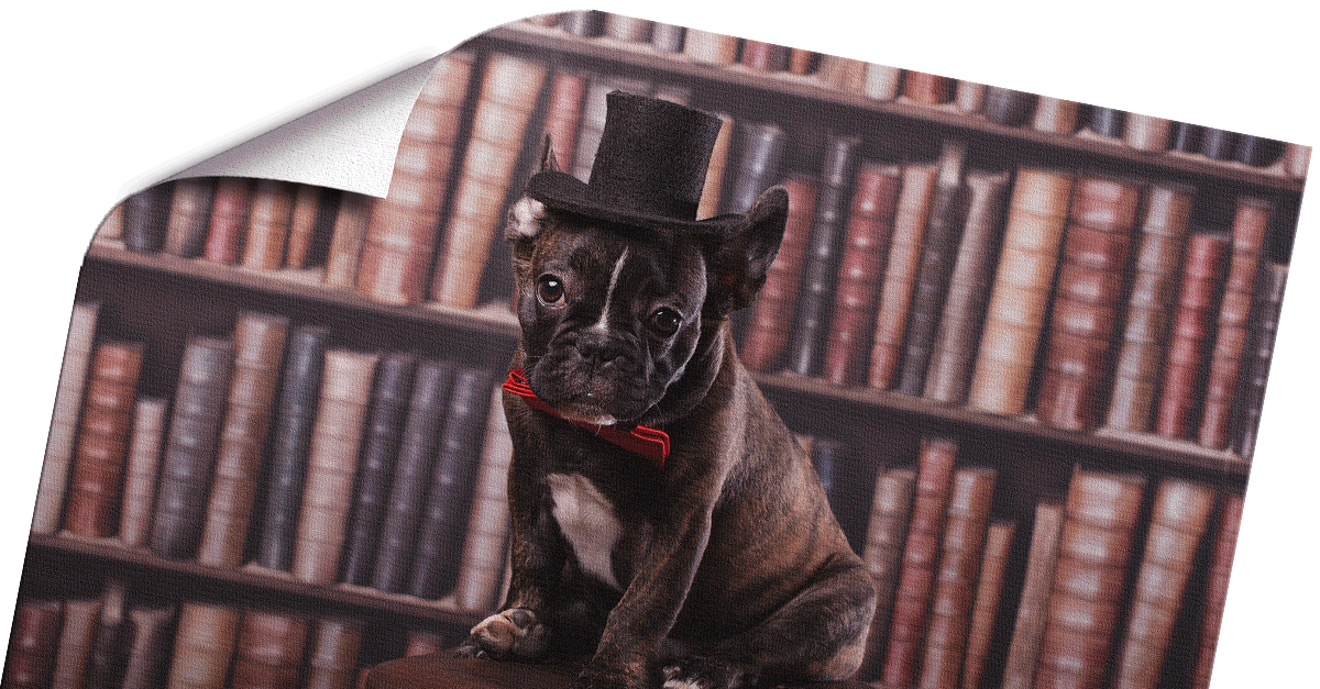 Châssis en bois pour toile, complets ou à la baguette